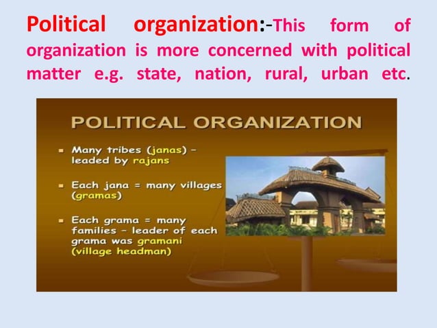 Social organization.pptx
