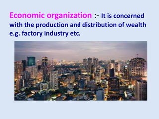 Social organization.pptx