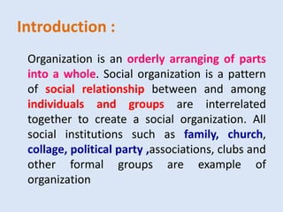 Social organization.pptx