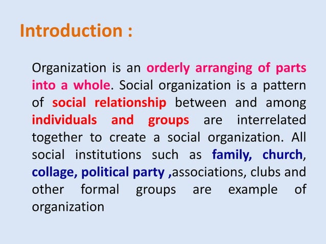 Social organization.pptx
