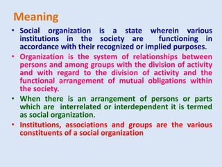 Social organization.pptx