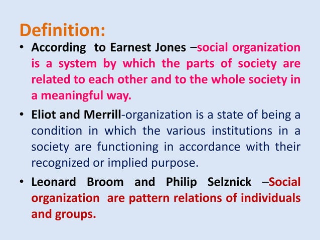Social organization.pptx