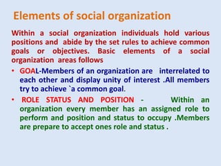 Social organization.pptx