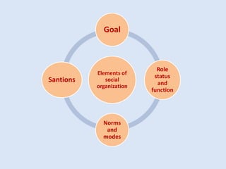 Social organization.pptx