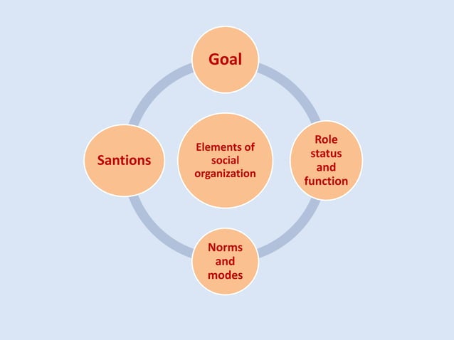 Social organization.pptx