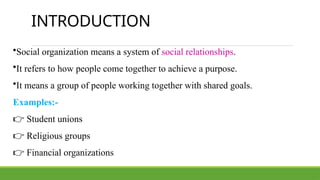 SOCIAL ORGANIZATION.................pptx