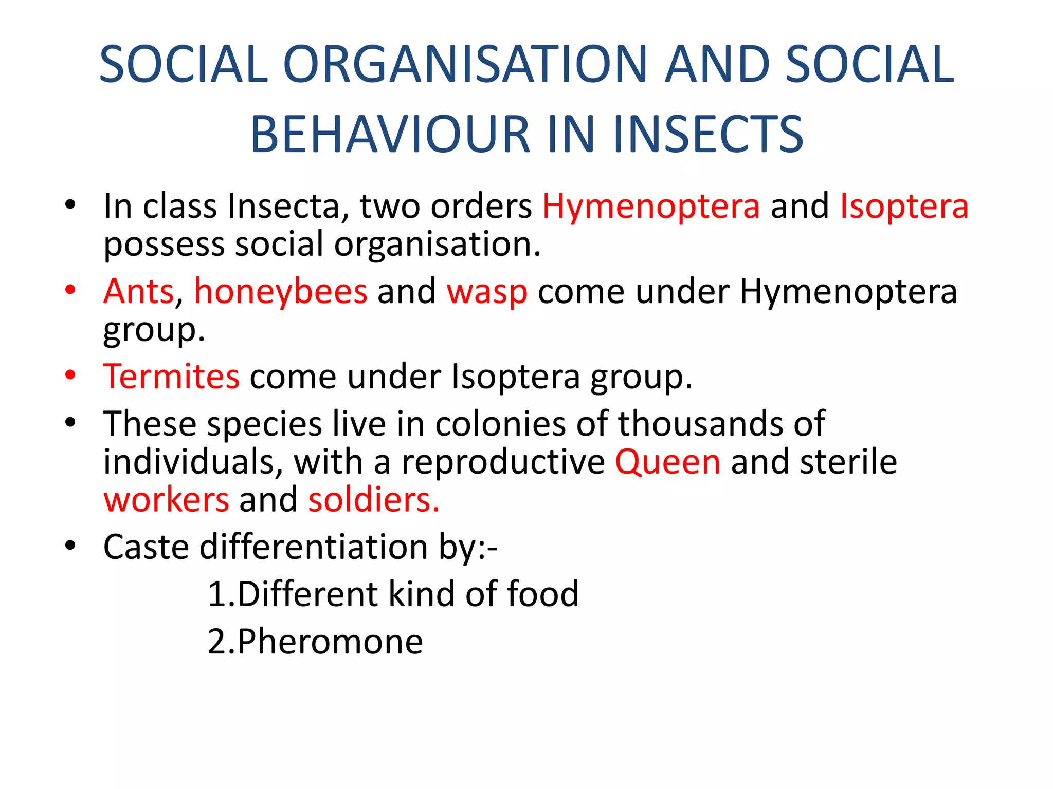 Social organization and social behaviour in insects | PPTX