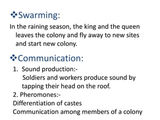 Social organization and social behaviour in insects | PPTX