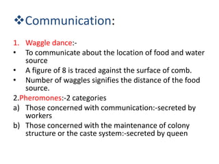 Social organization and social behaviour in insects | PPTX