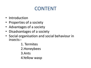 Social organization and social behaviour in insects | PPTX