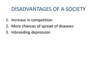 Social organization and social behaviour in insects | PPTX
