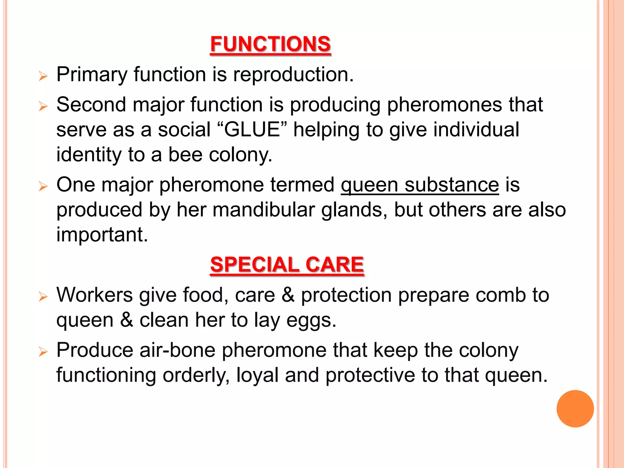 Social organization in honey bees | PPTX