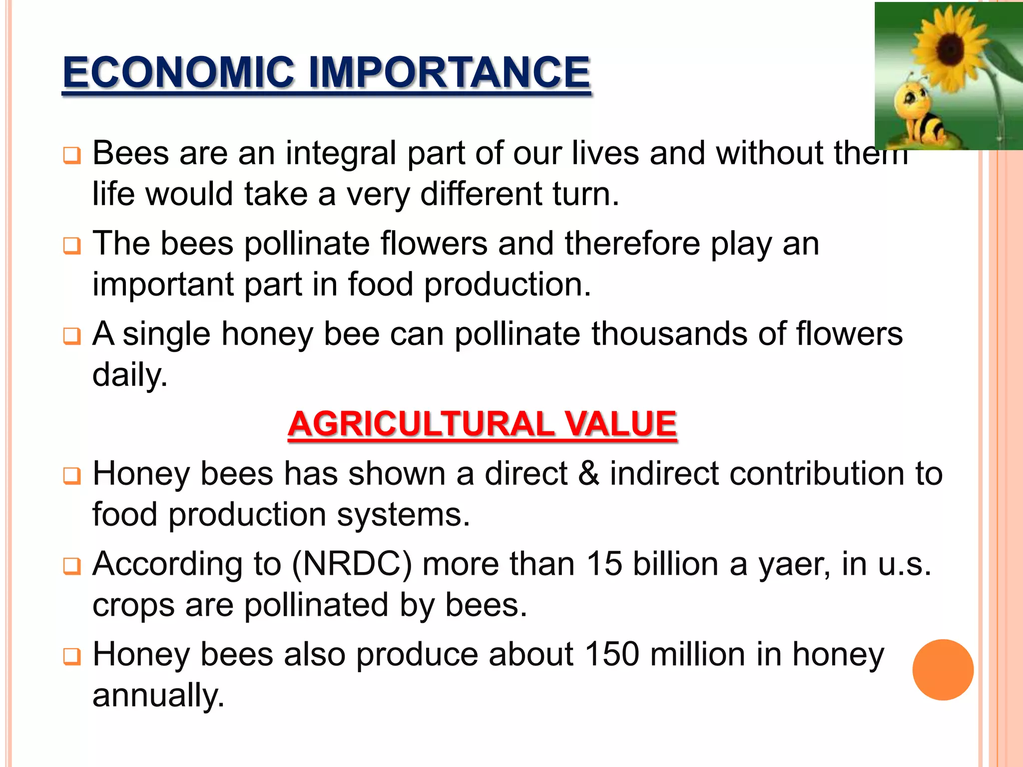 Social organization in honey bees | PPTX
