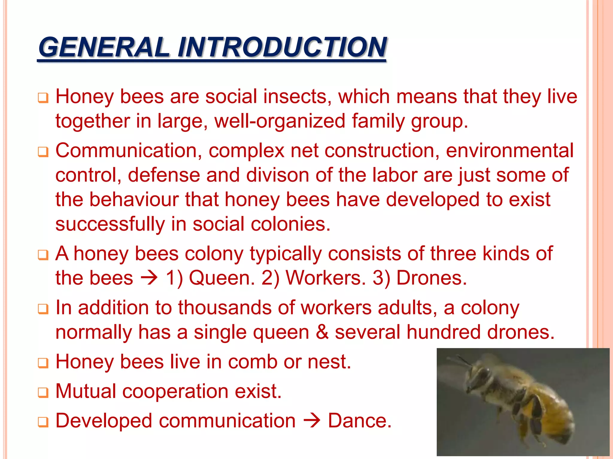 Social organization in honey bees | PPTX