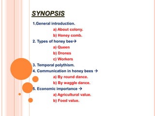 Social organization in honey bees | PPTX
