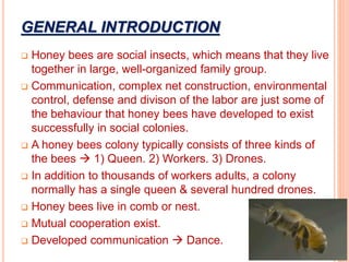 Social organization in honey bees | PPTX