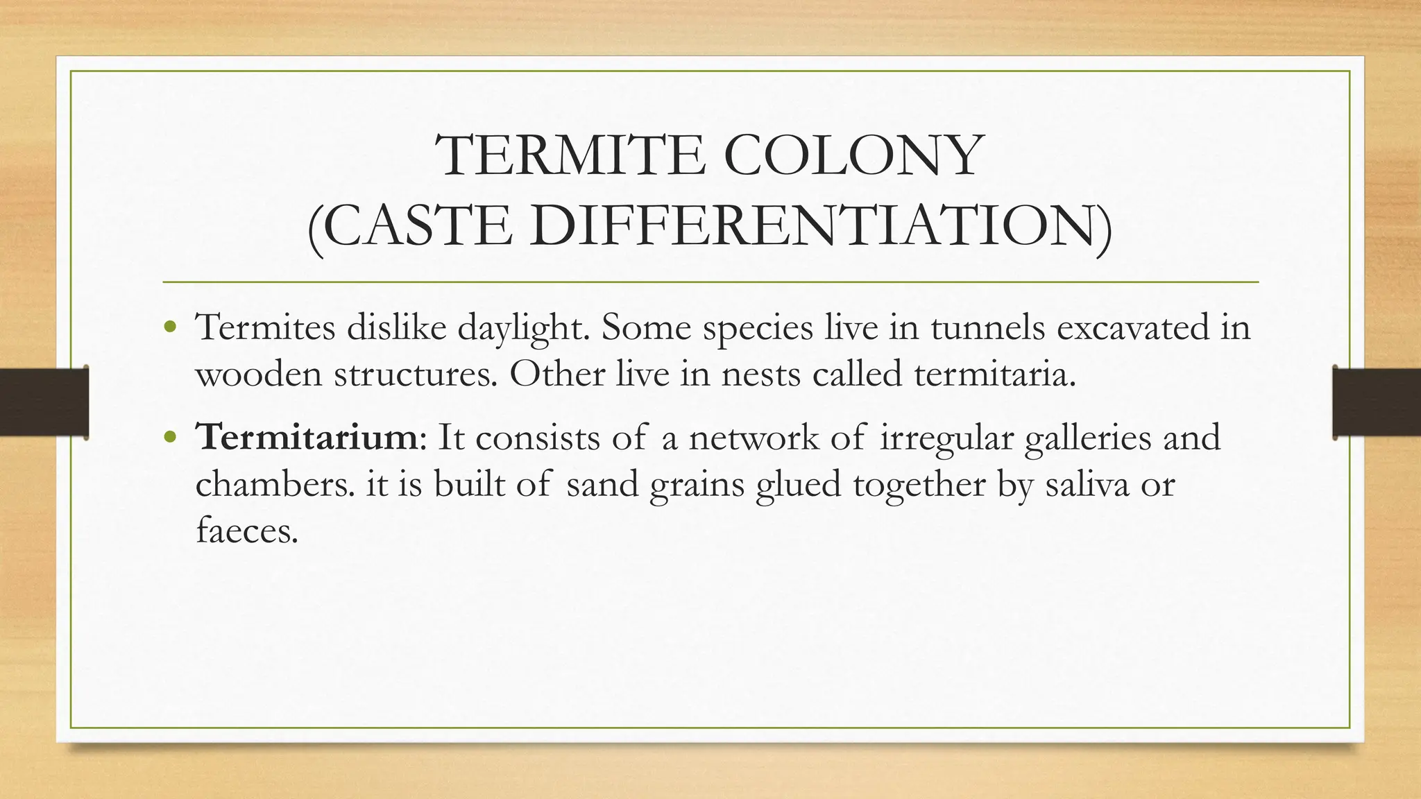 SOCIAL ORGANIZATION IN TERMITE for graduate studentsS.pptx