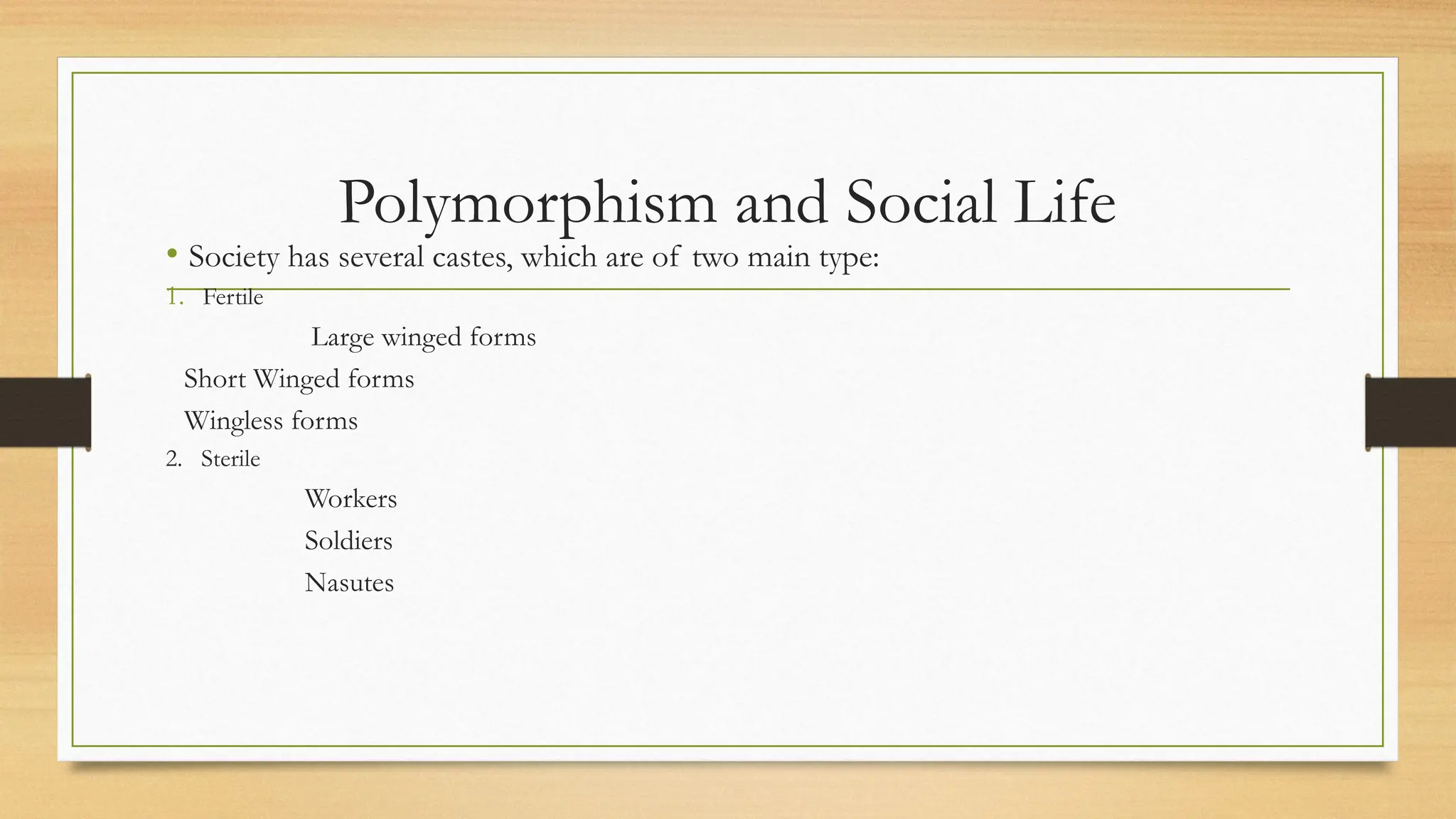 SOCIAL ORGANIZATION IN TERMITE for graduate studentsS.pptx