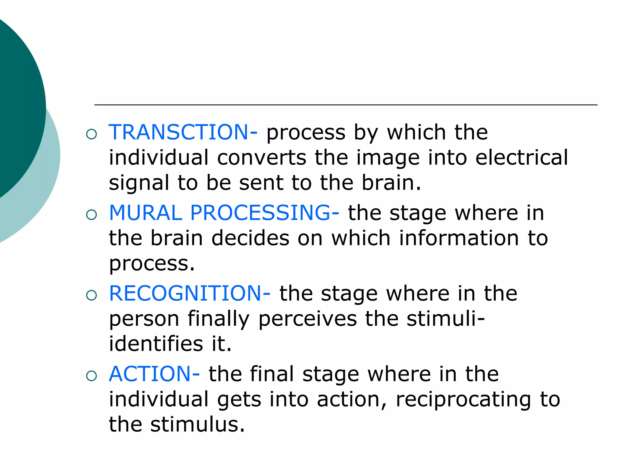 social perception.ppt