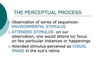 social perception.ppt