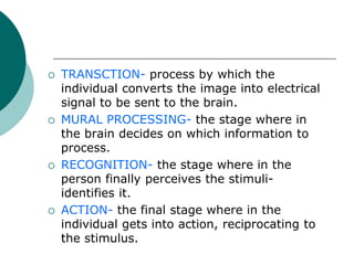 social perception.ppt