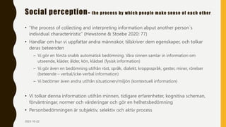 Social perception | PPTX