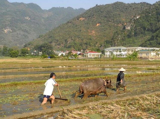 economic importance of rivers | PPTX | Geography | Science