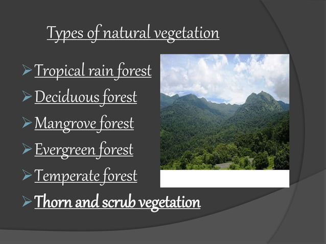 Natural Vegetation And wildlife | PPT