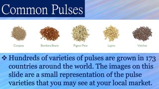 PPT on Pulses .pptx