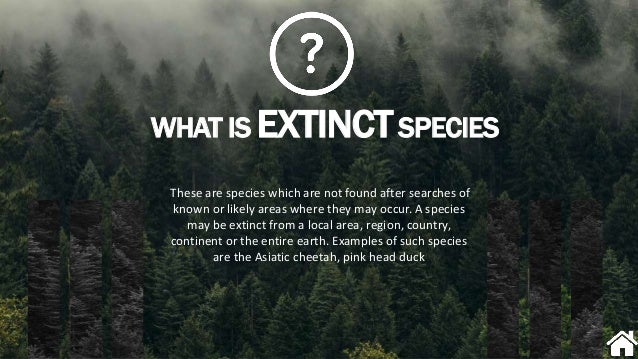 EXTINCT SPECIES (INDIA) | PPTX
