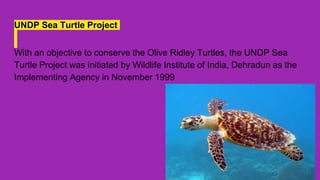 Sustainable development | PPT