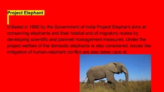 Sustainable development | PPT