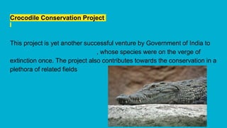 Sustainable development | PPTX