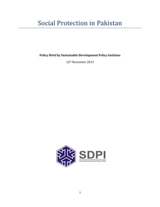 Social Protection in Pakistan | DOCX