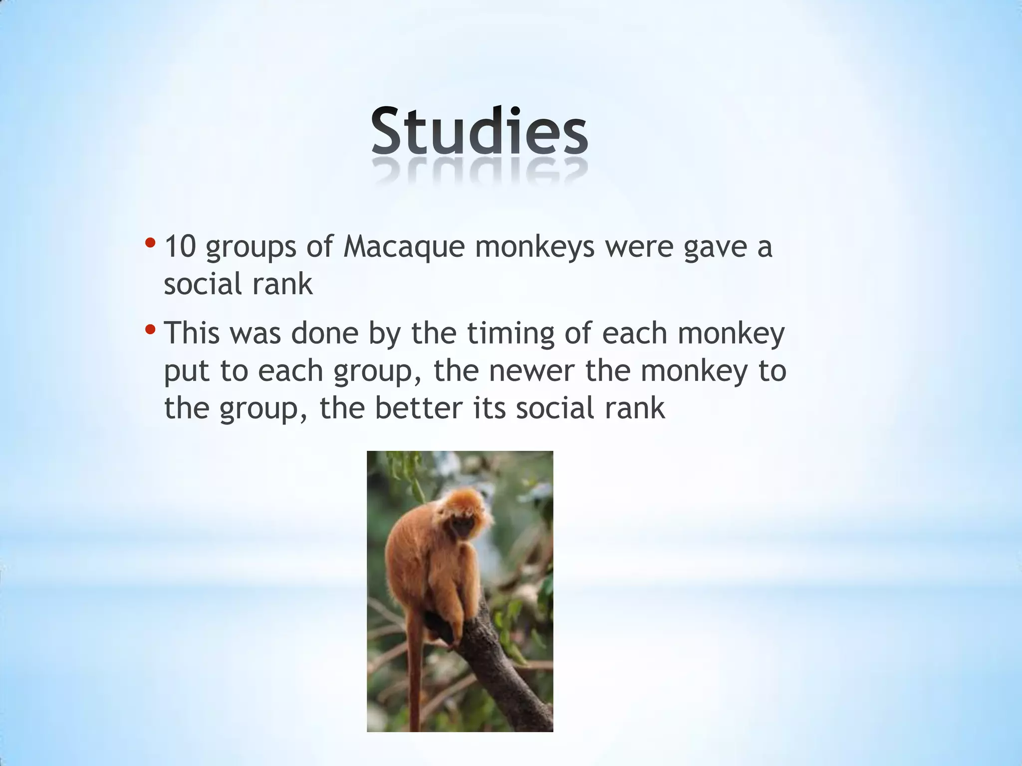 Social rank linked to immunity | PPTX | Biological Sciences | Science