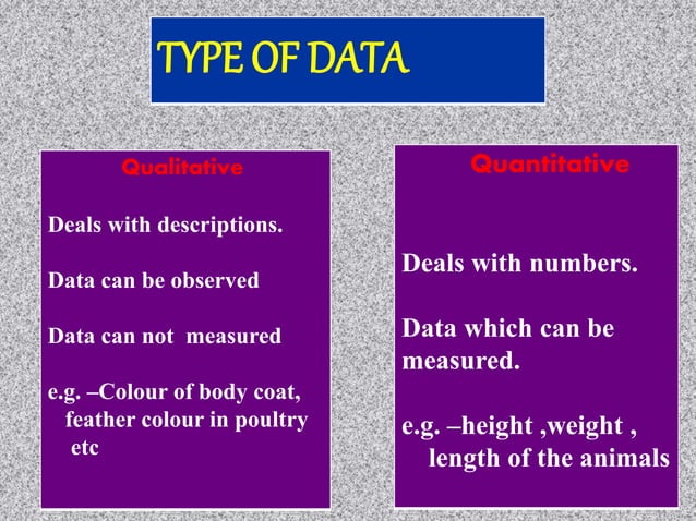 Ppt On Data Collection Processing Analysis Of Data And Report Writing