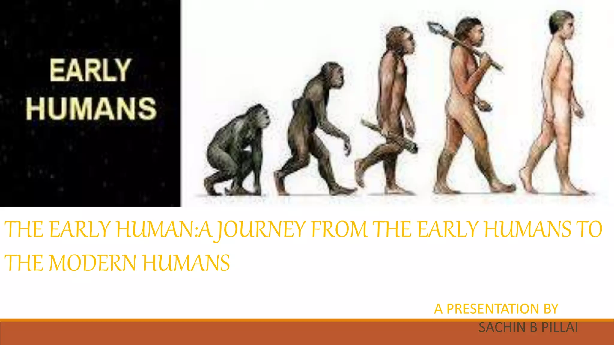 Social Science-Early Human.pptx
