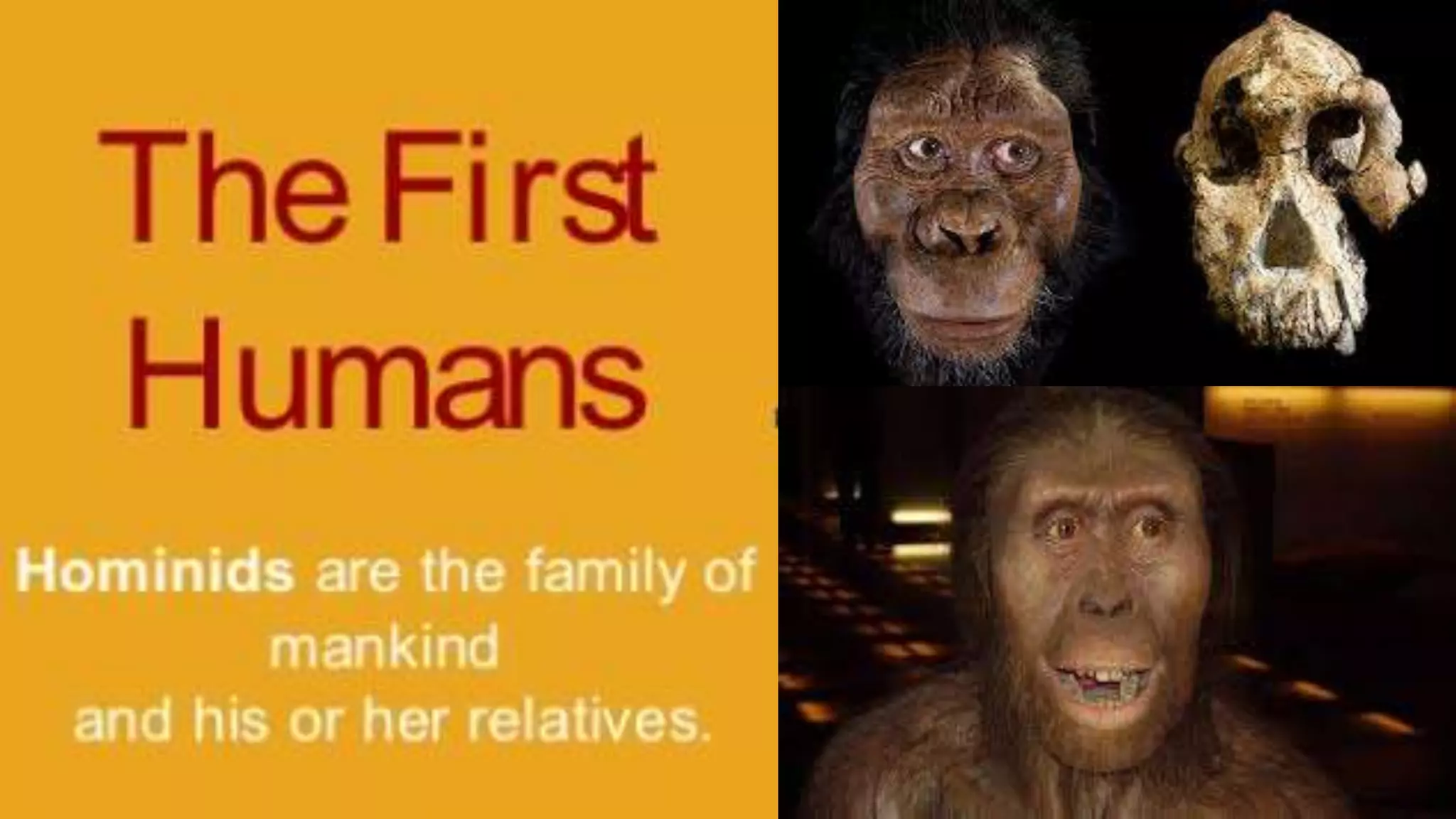 Social Science-Early Human.pptx