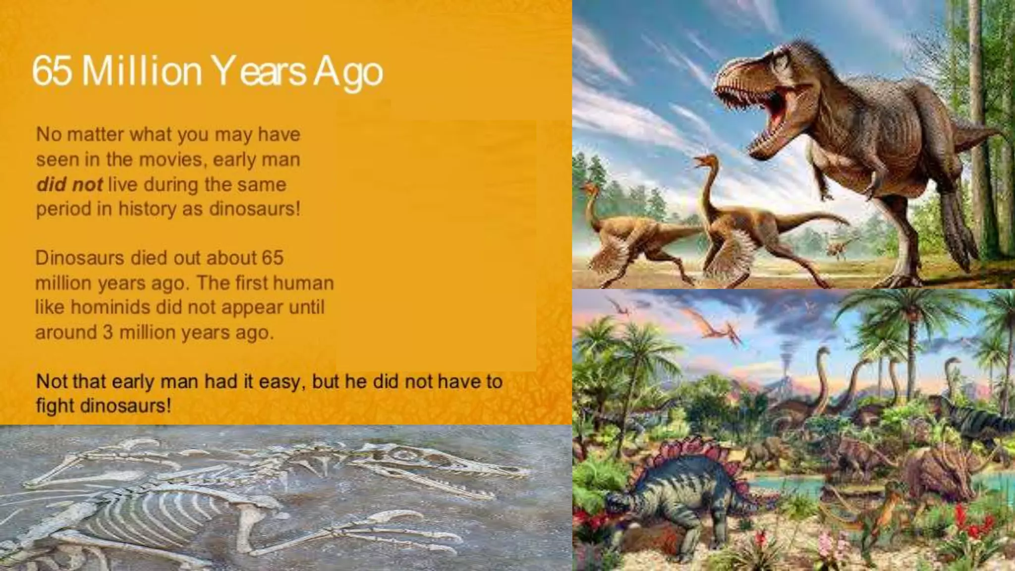 Social Science-Early Human.pptx