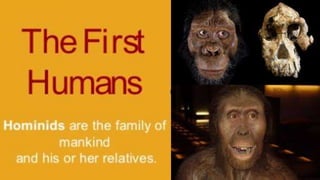 Social Science-Early Human.pptx