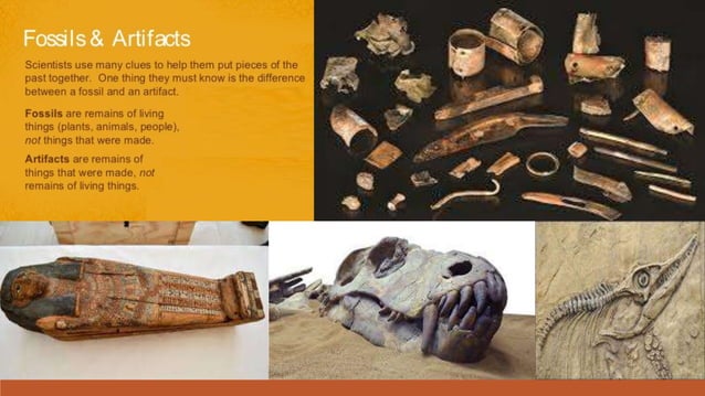 Social Science-Early Human.pptx