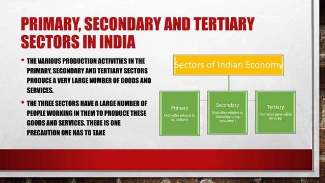 Class 10 Social Science Economics Chapter 2 Sectors of Indian Economy ...