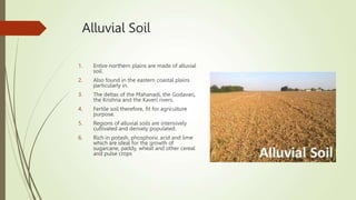 Class 10 Social Science Geography Chapter 1 Resources and Development | PPT