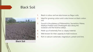 Social science Geography Chapter 1- Resources and Development | PDF