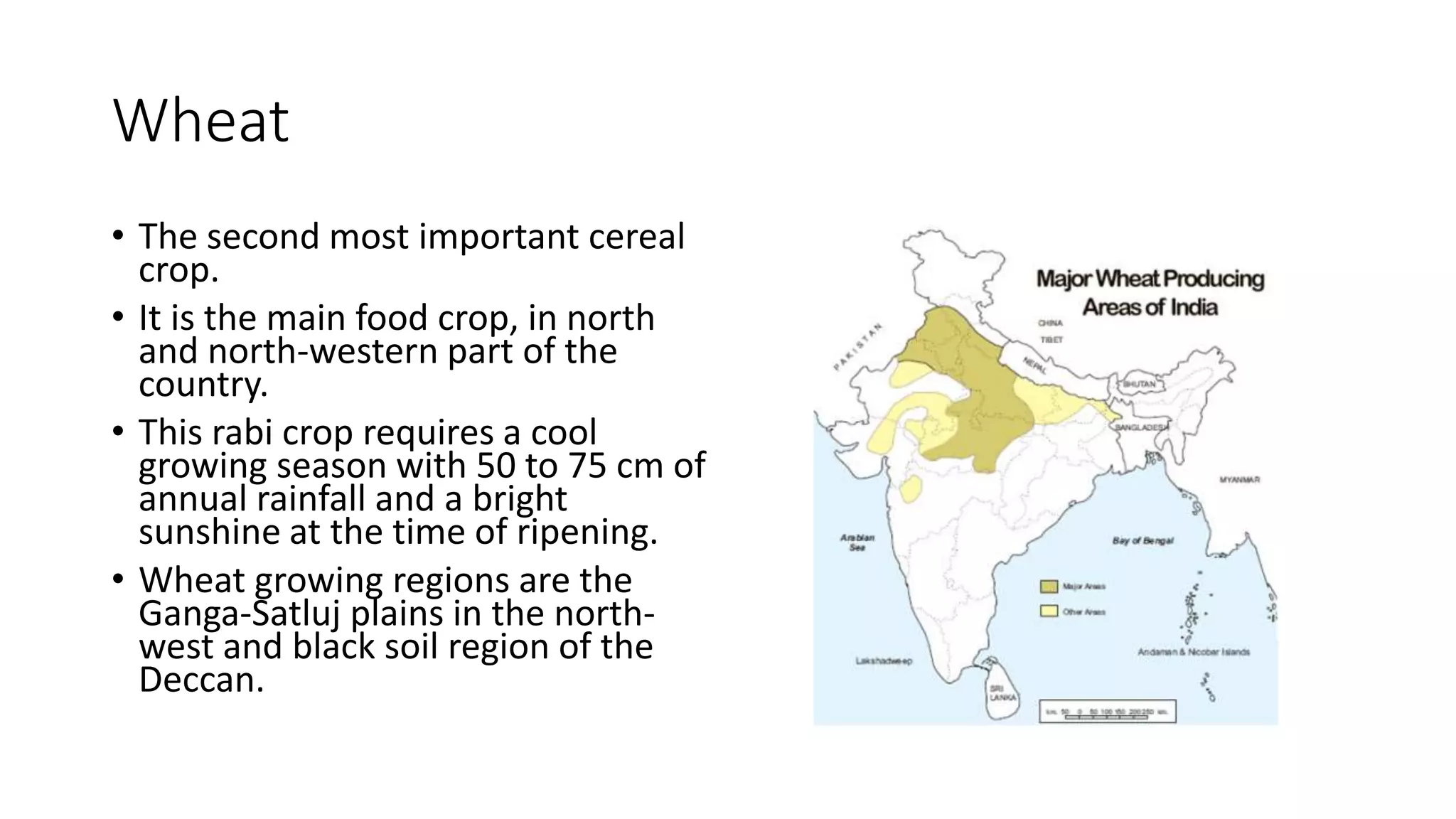 Social Science Geography Chapter 4 Class 10 Agriculture PPT | PPT