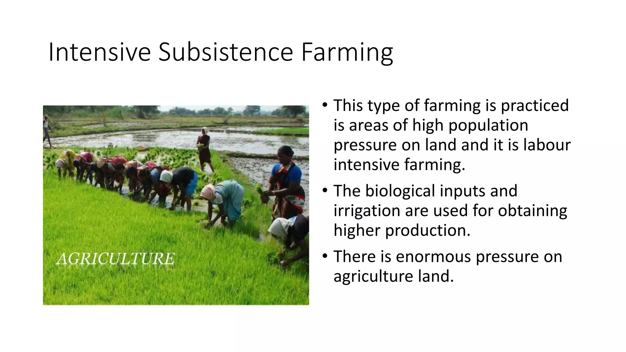 Social Science Geography Chapter 4 Class 10 Agriculture PPT | PPT