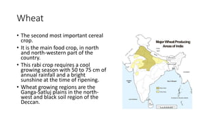 Social Science Geography Chapter 4 Class 10 Agriculture PPT | PPT