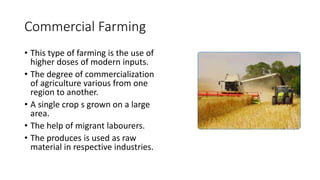 Social Science Geography Chapter 4 Class 10 Agriculture PPT | PPT