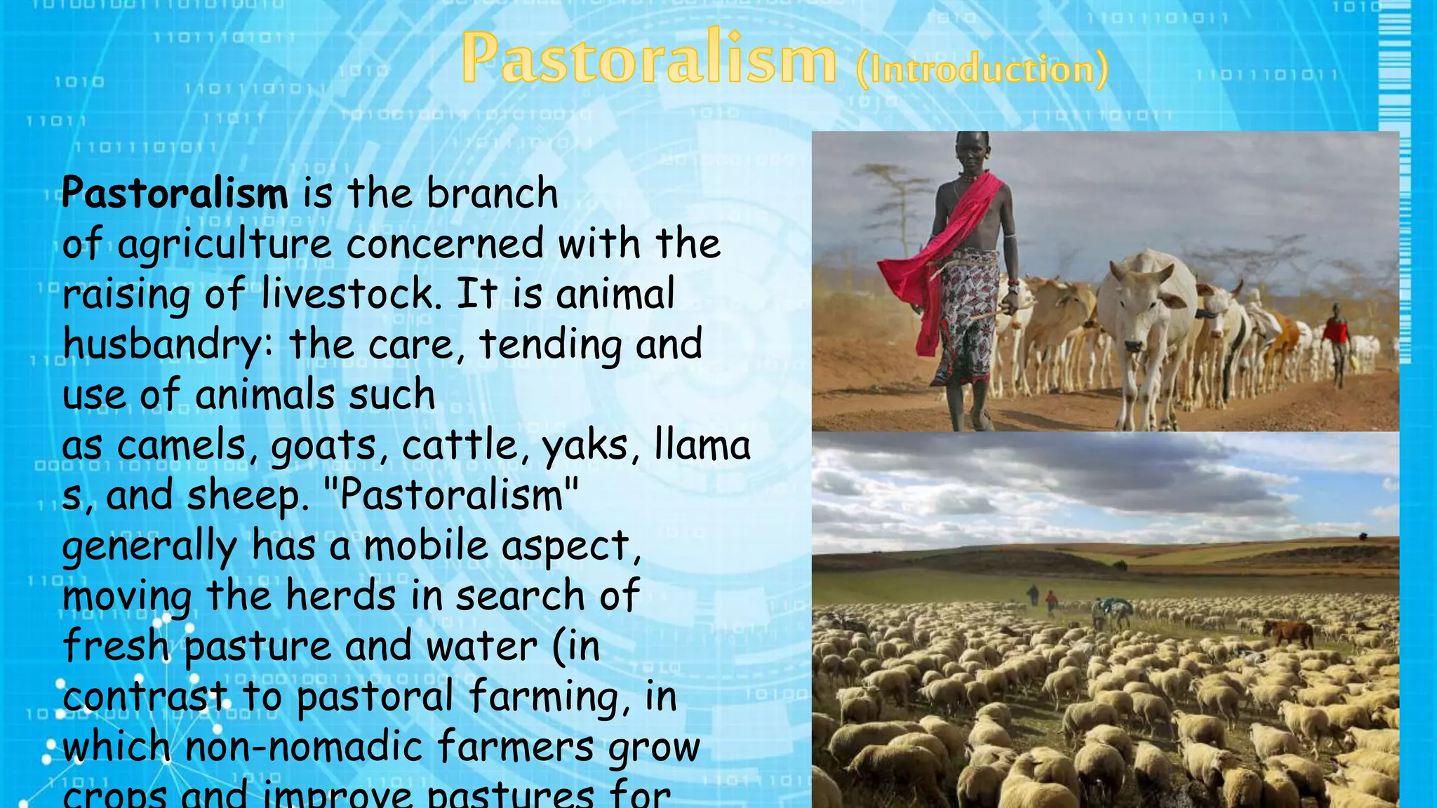 Different Pastoral Communities- PPT | PPTX
