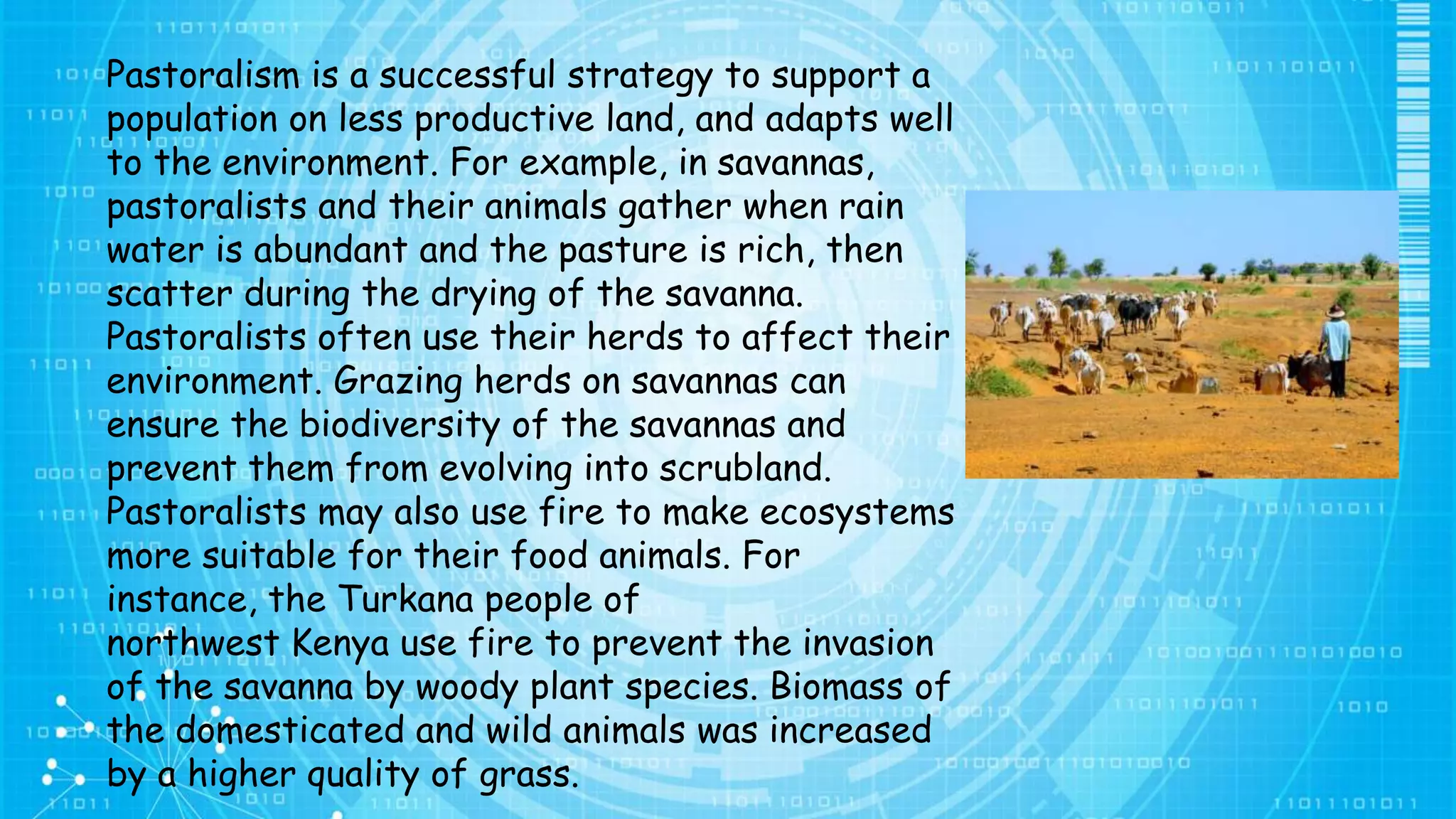 Different Pastoral Communities- PPT | PPTX